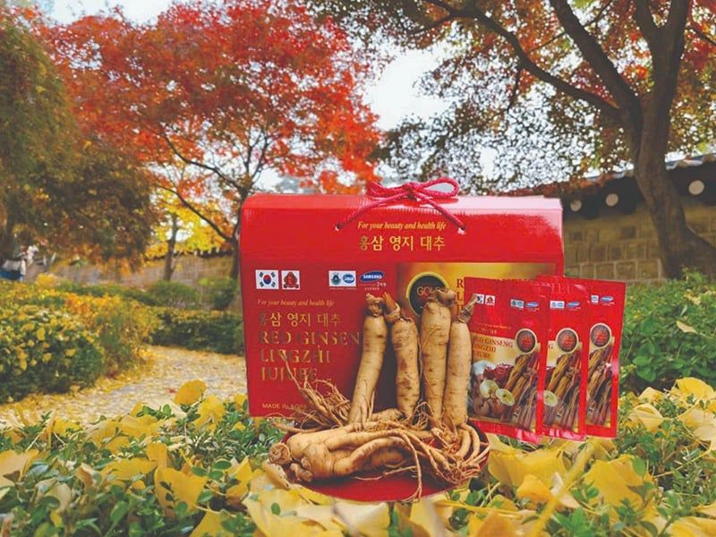 Túi nước hồng sâm Hàn Quốc linh chi táo đỏ - Red Ginseng Lingzhi jujue ...