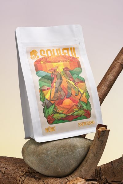 SOULFUL FLAVOURS I [SOUL] - FINE ROBUSTA – Soul Specialty Coffee