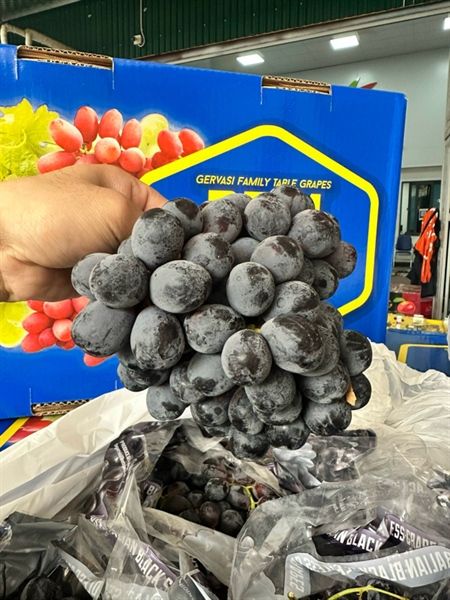Nho đen Úc BTM VIP thùng 9kg