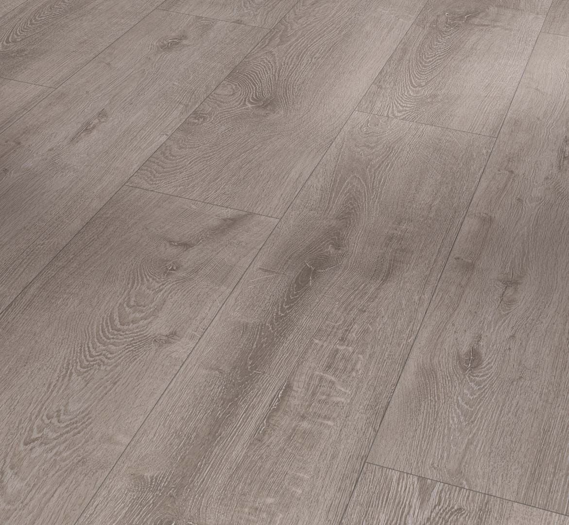 Oak light-grey Basic 600 Broad wide plan Matt-finish texture – Grandhome