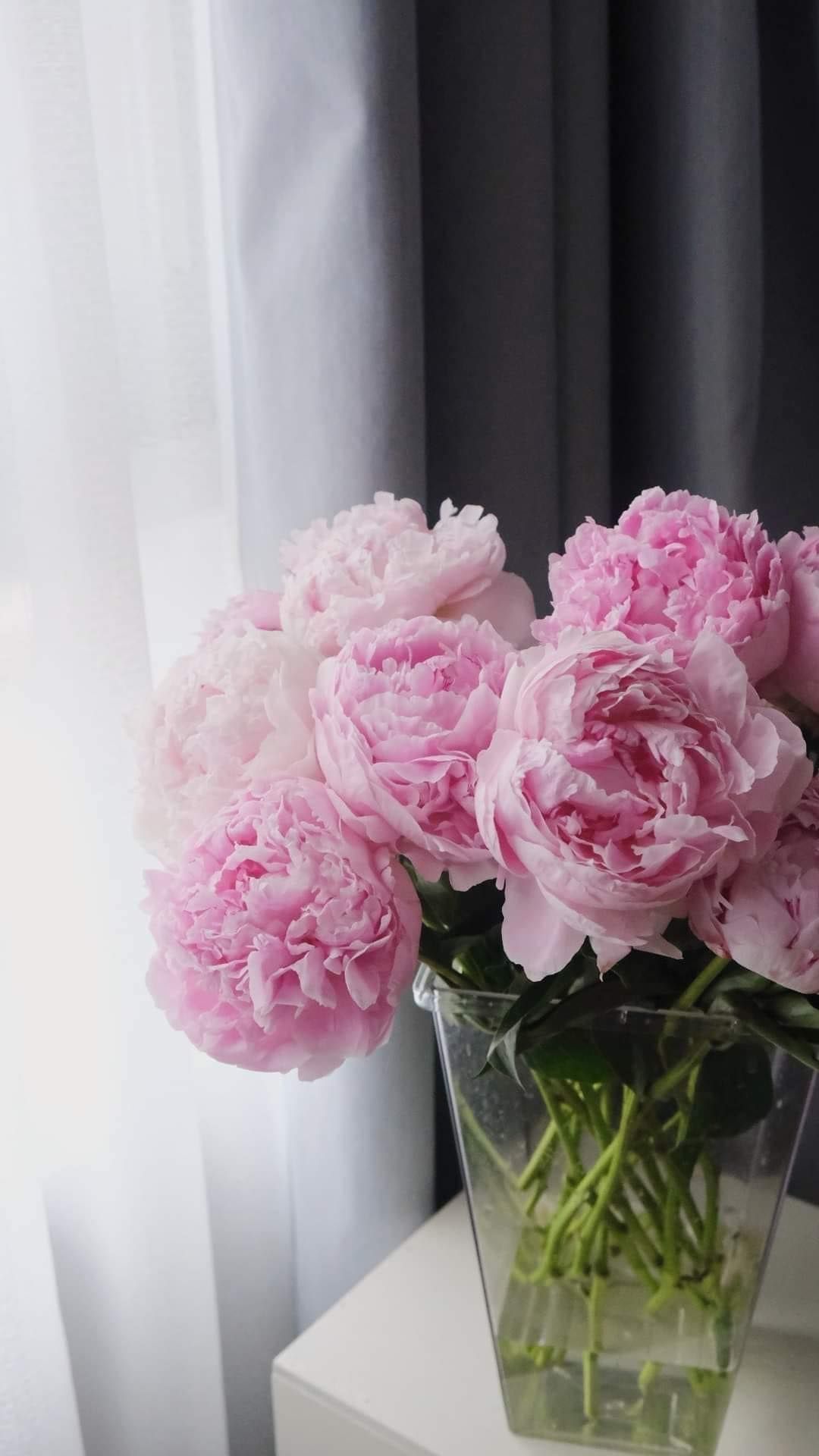 Bó Hoa Peony – A Little Leaf