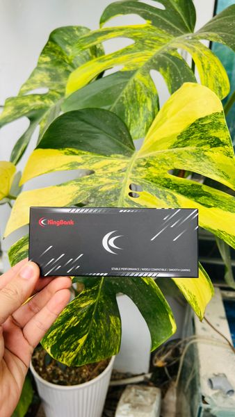 Bộ nhớ RAM KINGBANK DDR5 DESTOP 16G CÓ TẢN 4800MHz – Linaco