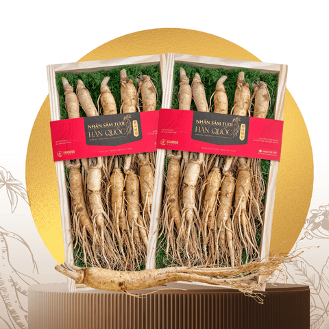 Hộp quà Nhân sâm Hàn Quốc 6 năm tuổi loại 33-55g (11củ) | I0016598 ...