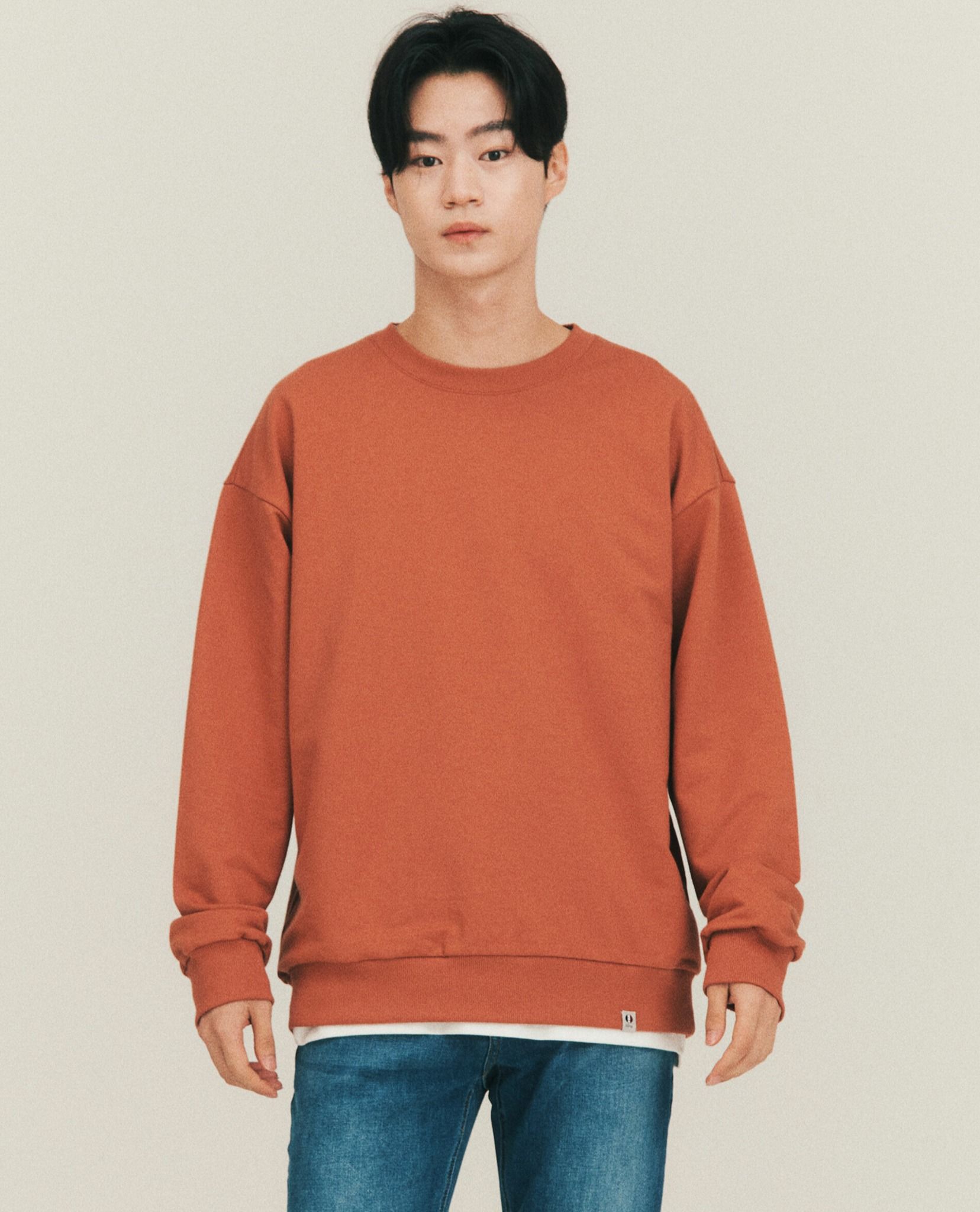 POLHAM SOLID BASIC SWEATSHIRT – Breakdalaww - Vintage Streetwear