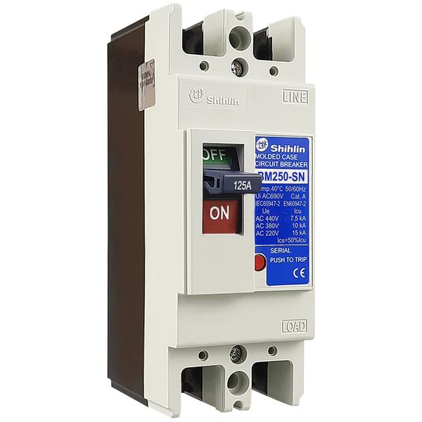 CB khối Shihlin BM 250-SN 2P 125A 30kA