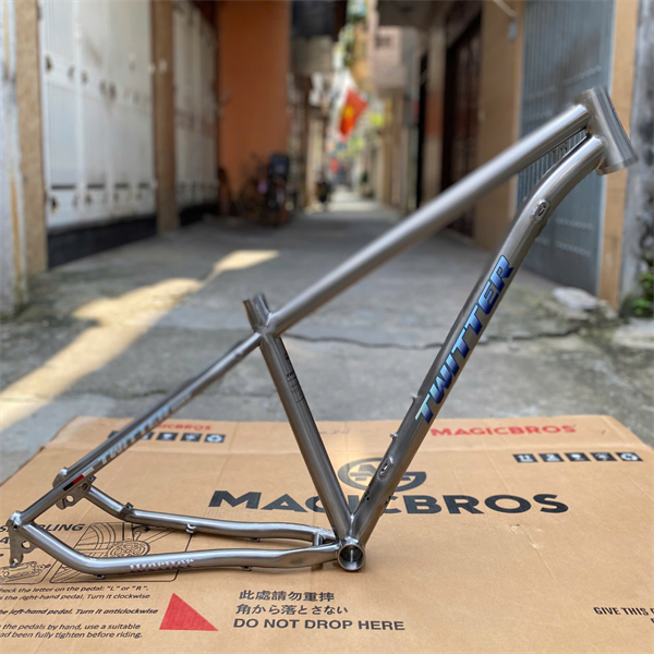 Khung MTB Tw Werner titan cho bánh 27.5 inch – Hanoibike shop