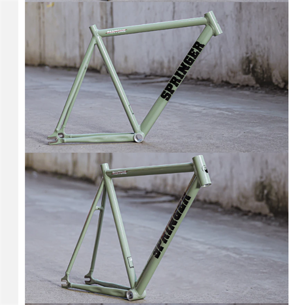 Khung Fixed Gear Springer Pantone – Hanoibike shop
