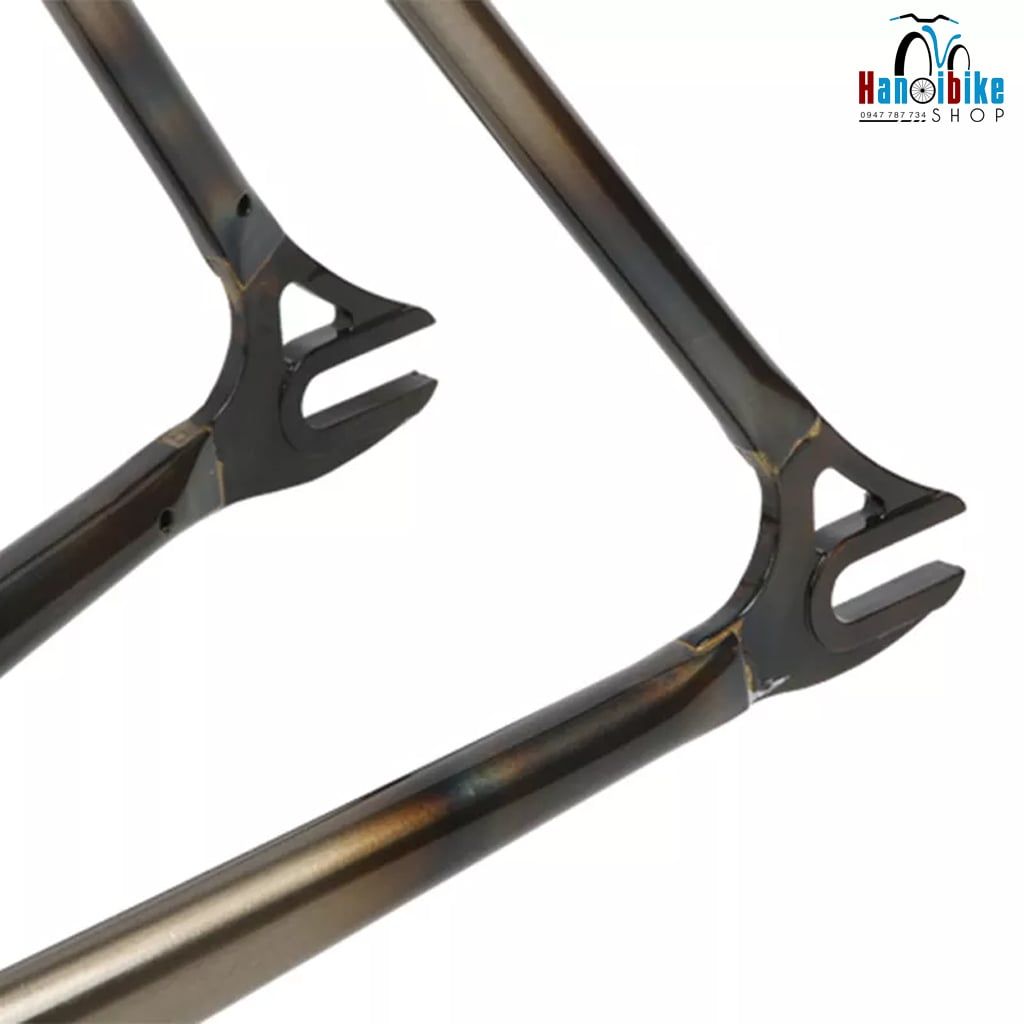 Khung Tsunami Seaboard FG03 – Hanoibike shop