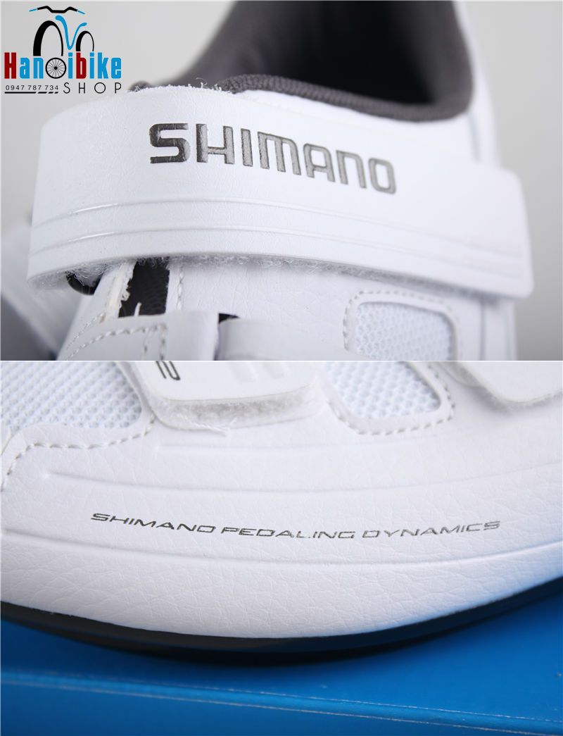 giày cá Shimano RP2 – Hanoibike shop