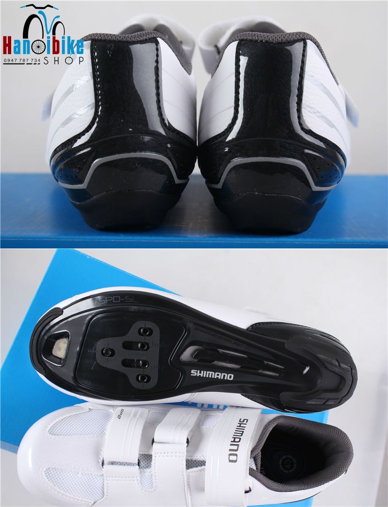 giày cá Shimano RP2 – Hanoibike shop