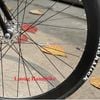 Xe đạp Fixed Gear Gray Macce Thép đùi đĩa intro 7 Bạc – Hanoibike shop