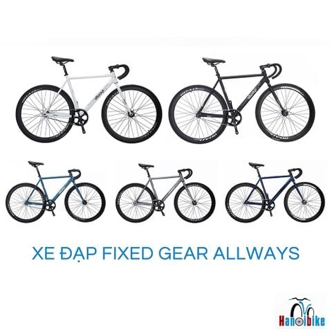 XE FIXED GEAR – Hanoibike shop