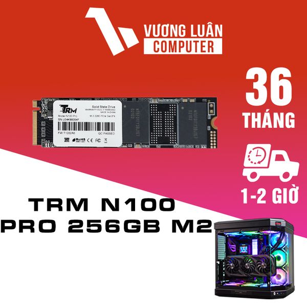 Ổ cứng SSD TRM N100 PRO 256GB M2 2280 PCIE NVME – Vương Luân Computer