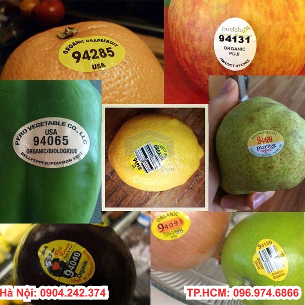 in tem hoa quả thực phẩm – Túi & Hộp Qùa Tặng + In Card Tem Nhãn Lấy Ngay