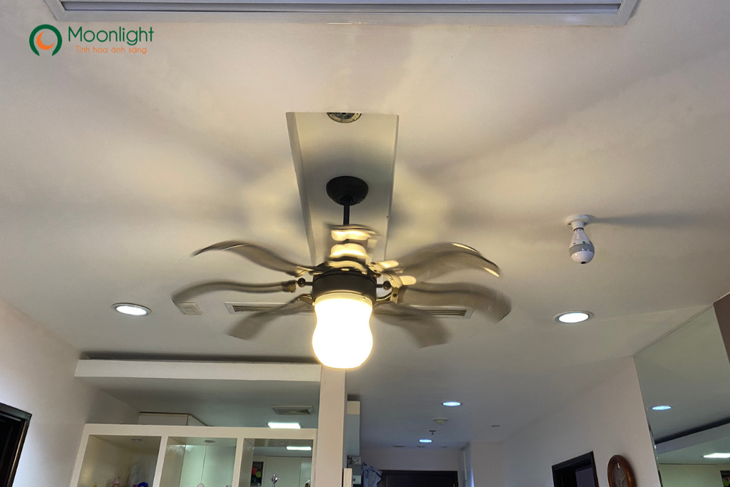 Quạt trần thu cánh Nhật Bản Kaiyo Kukan 8 cánh D108cm 50W DC CHIB 107