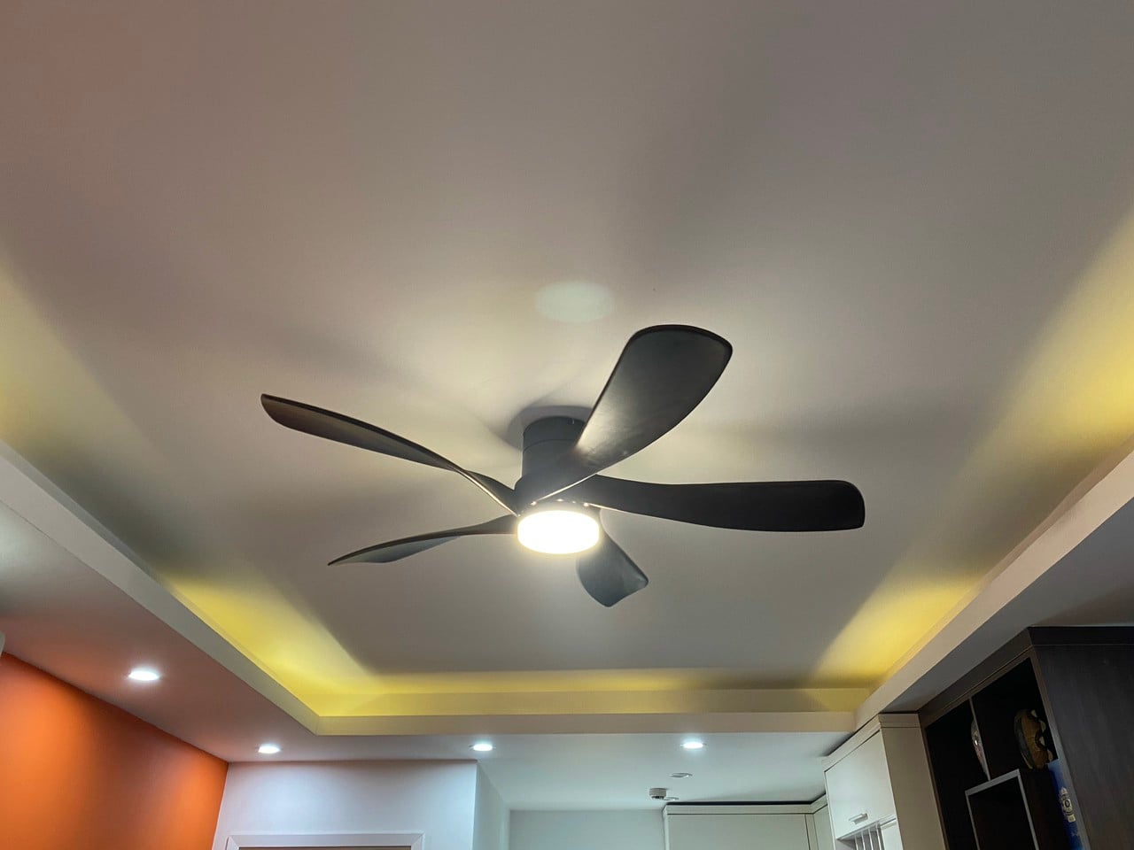 Quạt trần đèn Nhật Bản Kaiyo Kukan 5 cánh D142cm 50W DC KUKAN 211