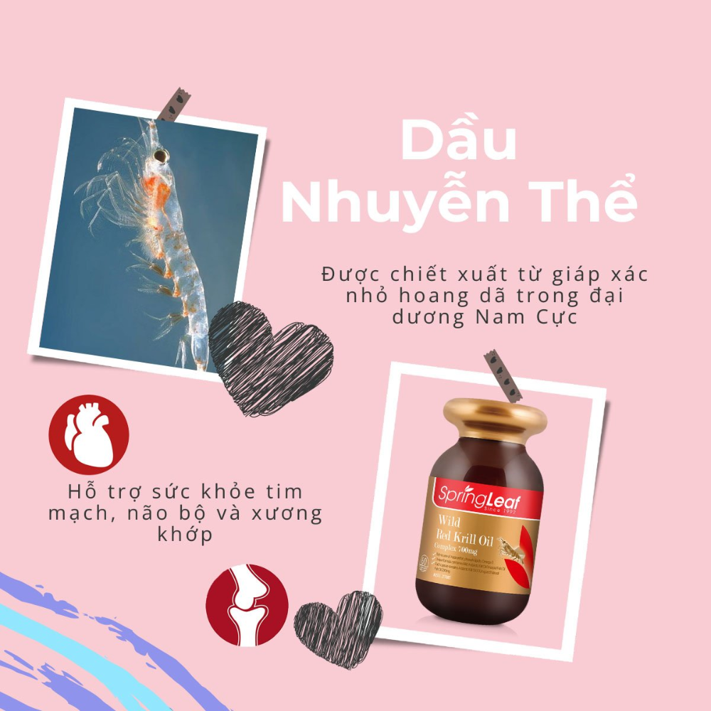 SpringLeaf Viên Uống Dầu Nhuyễn Thể Wild Red Krill Oil Complex 700mg 6 ...