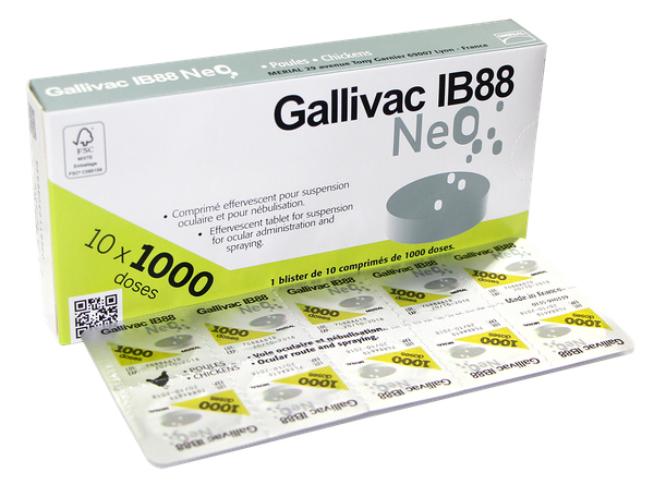 GALLIVAC IB88 NEO – OLMIX ASIALAND