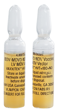 VAXXITEK HVT+IBD+ND – VIPHAVET