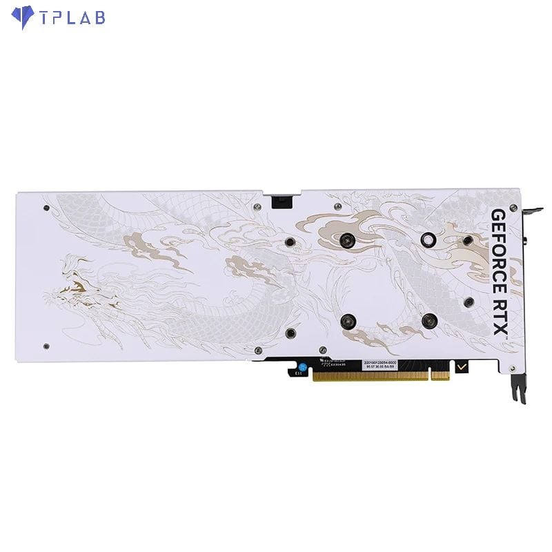 Colorful iGame GeForce RTX 4060 Loong Edition OC 8GB-V– TPLAB