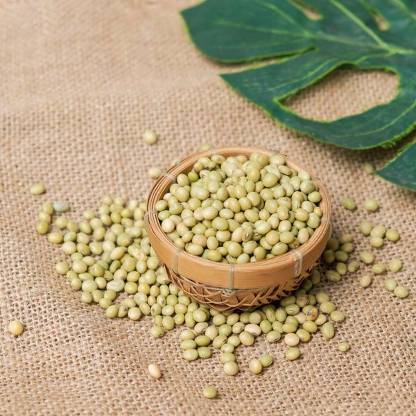 Đậu tương xanh không biến đổi gen Sóc Sơn tại Xanh Lá – LA'ZEN