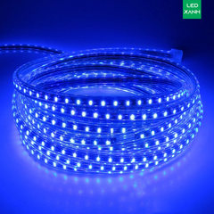 Đèn LED - Đèn Trang trí - LED XANH