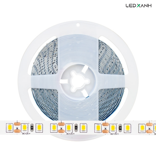 Đèn LED dây dán DC12V-Cuộn 5m - KingLED
