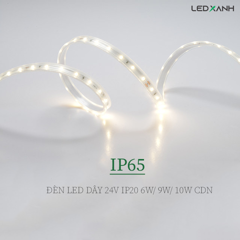 Đèn LED dây dán DC12V-Cuộn 5m - KingLED