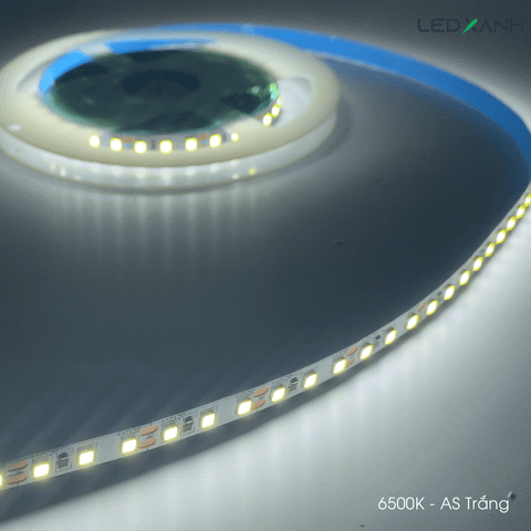 Đèn LED Dây 12V-24V Chính Hãng 【Bảng Giá 08-2025