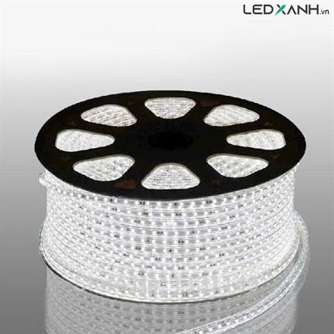 Đèn led dây 220V siêu sáng【Giá Tốt tháng 06-2026】