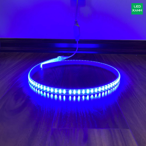 Đèn LED - Đèn Trang trí - LED XANH