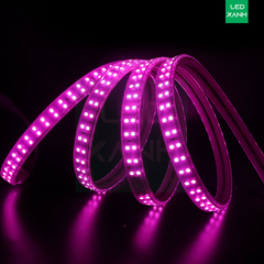 38+ Mẫu đèn led dây cao cấp, chính hãng giá cực tốt - LED XANH