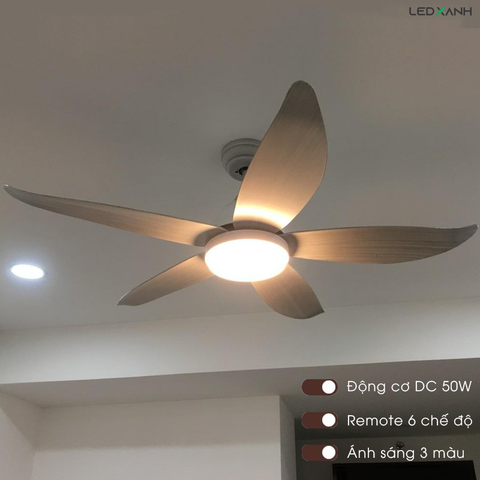 Quạt trần 3 cánh lắp cho trần thấp DQ-CT-419