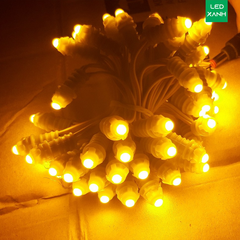 Đèn LED Dây Chính Hãng - TOP 38+ Mẫu Vừa Rẻ Vừa Bền - LED XANH