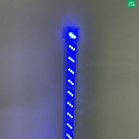 Đèn LED - Đèn Trang trí - LED XANH
