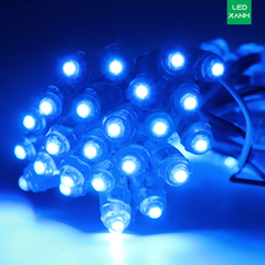 Đèn LED Dây Chính Hãng - TOP 38+ Mẫu Vừa Rẻ Vừa Bền - LED XANH
