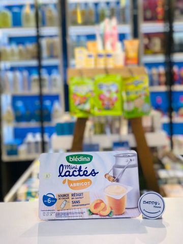Sữa chua Bledina mini lactes vị mơ - CT (6x55g) – Daddy's House