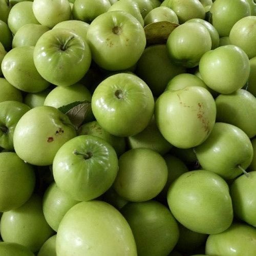 Táo xanh Việt Nam - Green Jujube Apple Vietnam - Moonmilk – MOONMILK ...