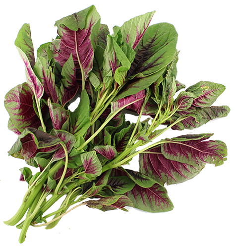 Rau dền đỏ - Red Amaranth – MOONMILK - PREMIUM IMPORTED FOOD MARKET