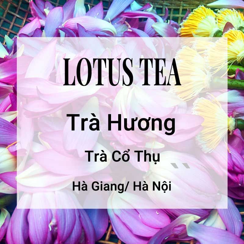 Lotus Tea Trà Sen Đặc Biệt – Hatvala Tea and Coffee