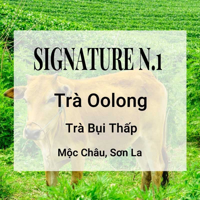 Trà Oolong Signature – Hatvala Tea and Coffee