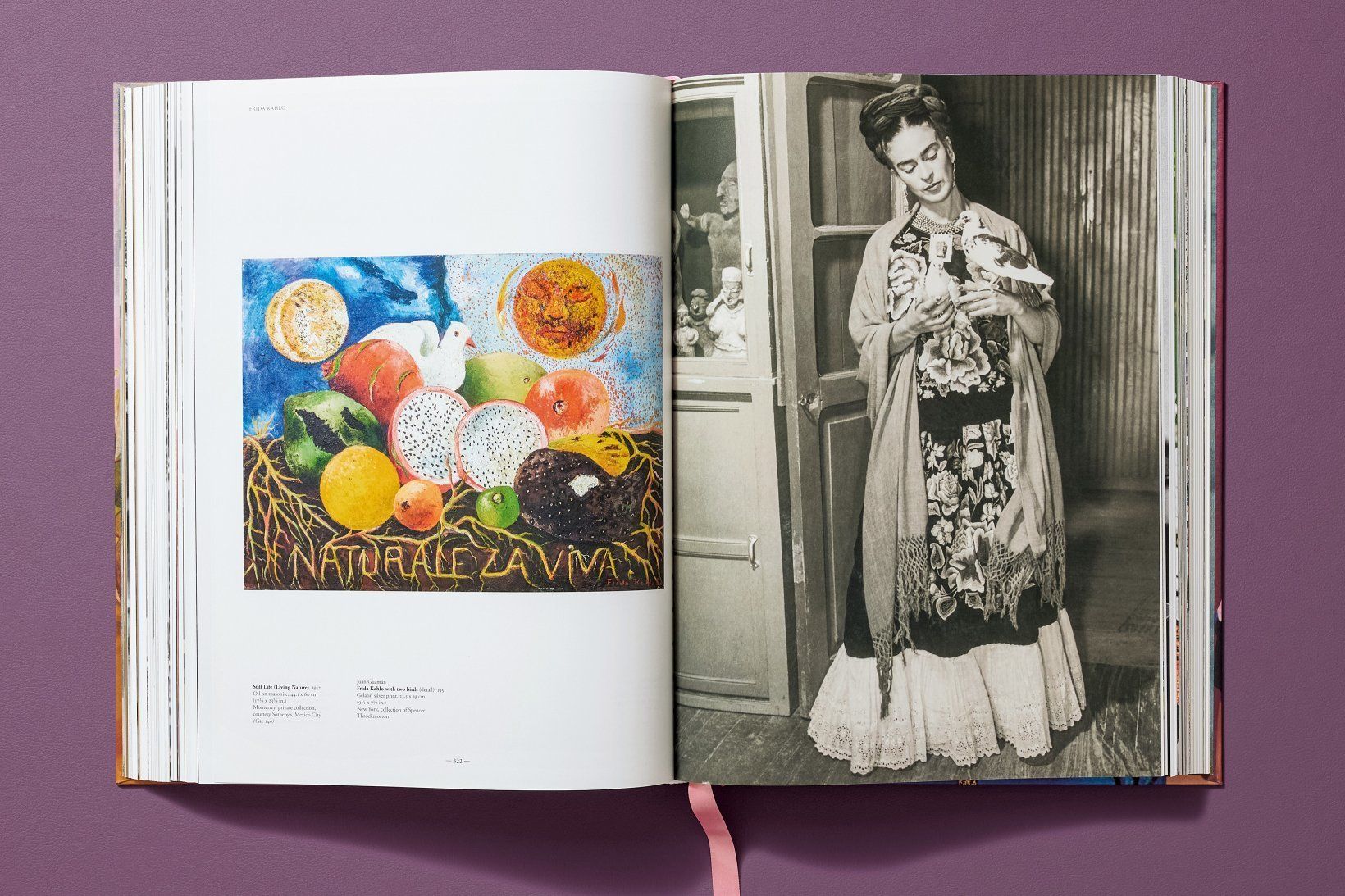 Frida Kahlo. The Complete Paintings_Luis-Martín Lozano_9783836574204_T ...