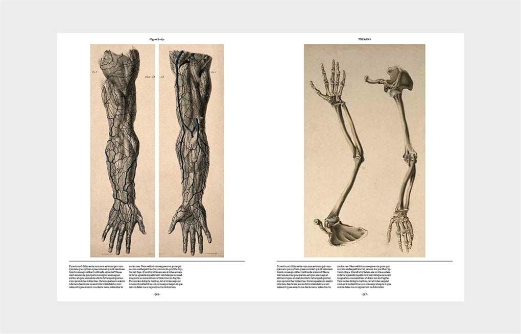 Anatomica : The Exquisite and Unsettling Art of Human Anatomy_Joanna E ...