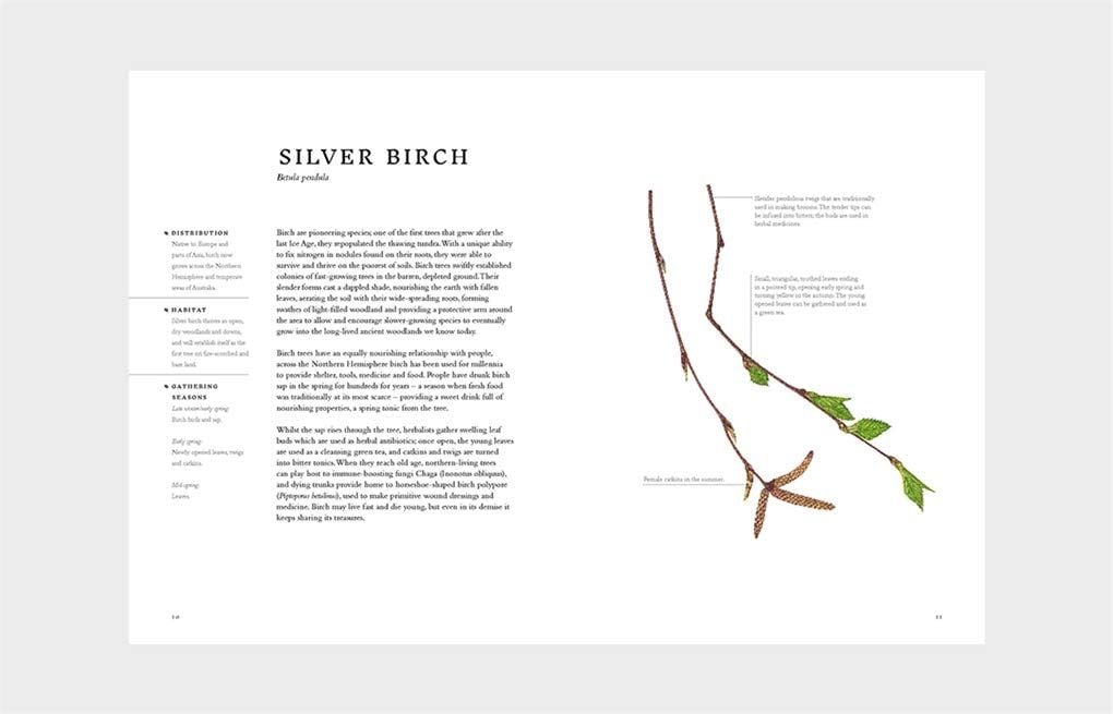 Forage_Liz Knight_9781786277350_Laurence King Publishing – ARTBOOK