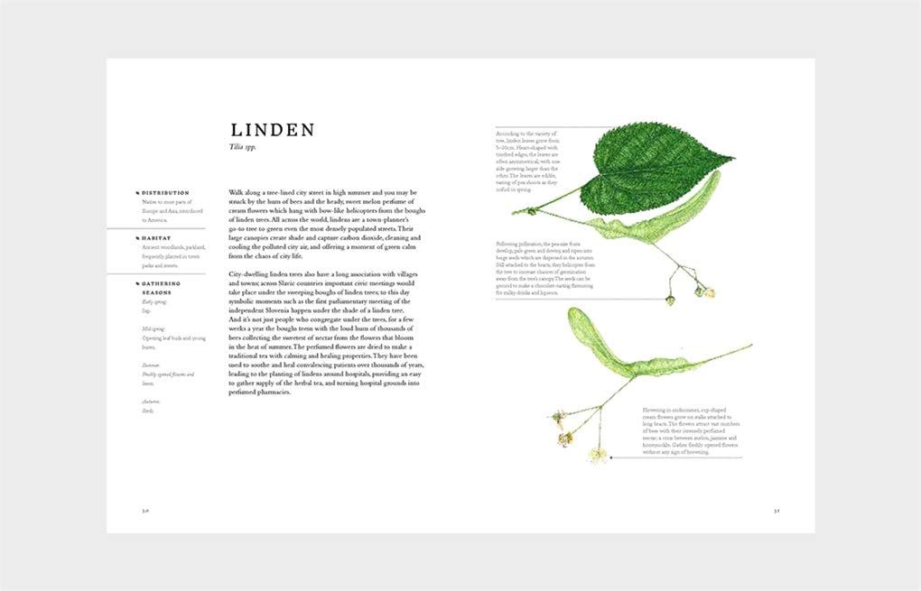 Forage_Liz Knight_9781786277350_Laurence King Publishing – ARTBOOK