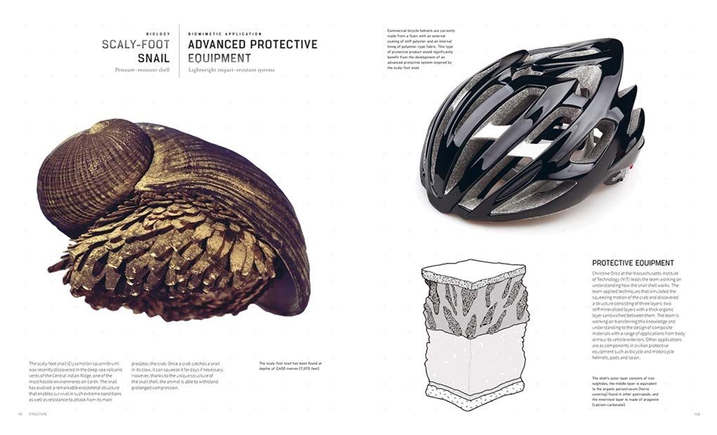 Biomimicry for Designers – ARTBOOK
