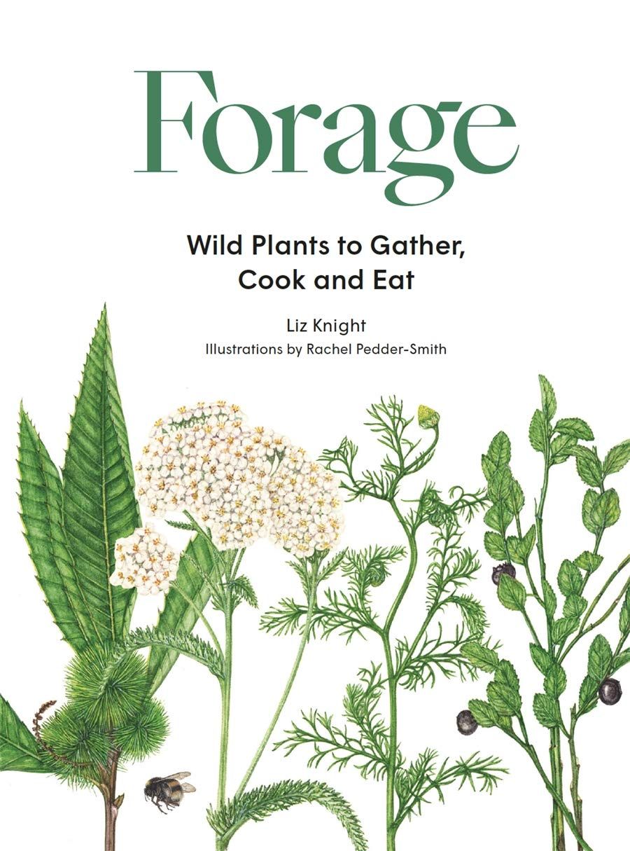 Forage_Liz Knight_9781786277350_Laurence King Publishing – ARTBOOK