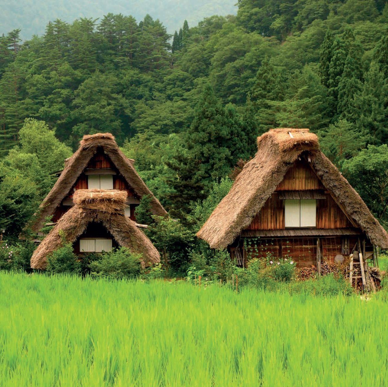 Eco Living Japan : Sustainable Ideas for Living Green_Deanna MacDonald ...