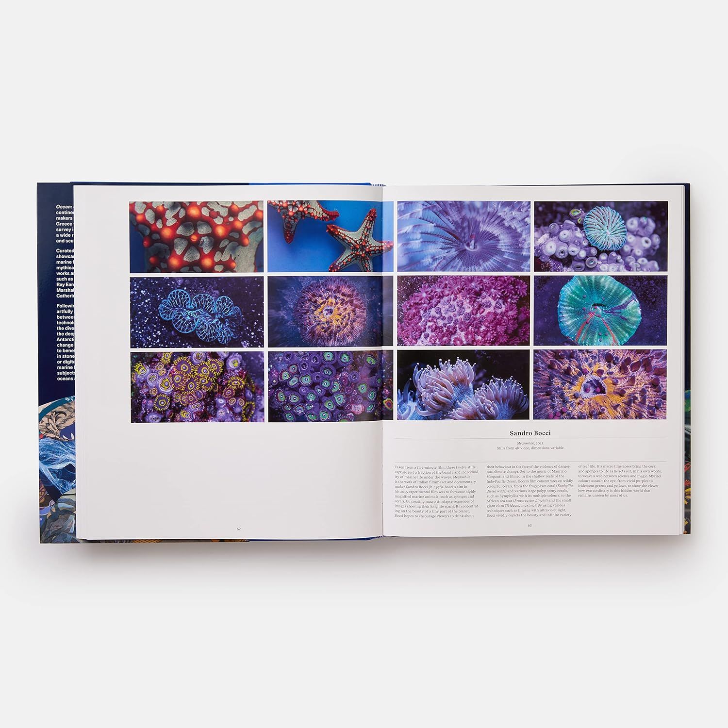 Ocean: Exploring the Marine World – ARTBOOK