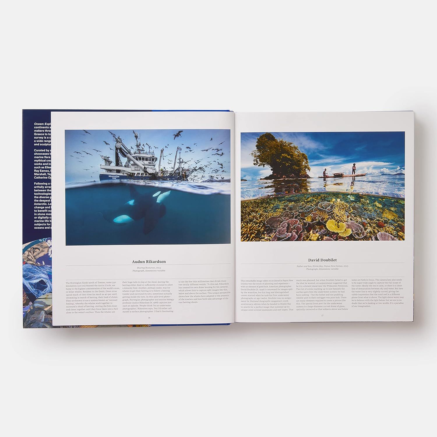 Ocean: Exploring the Marine World – ARTBOOK